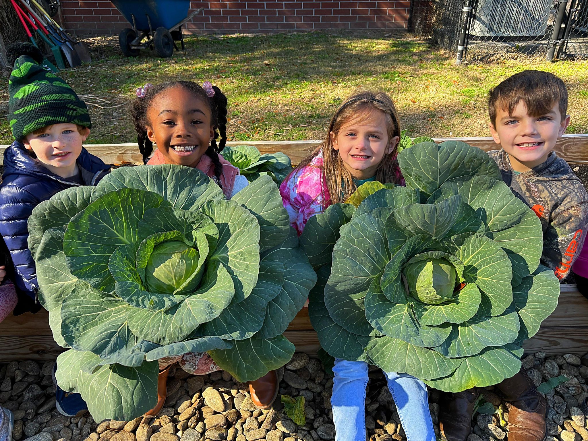 Become a Grower – Welcome to Katie's Krops